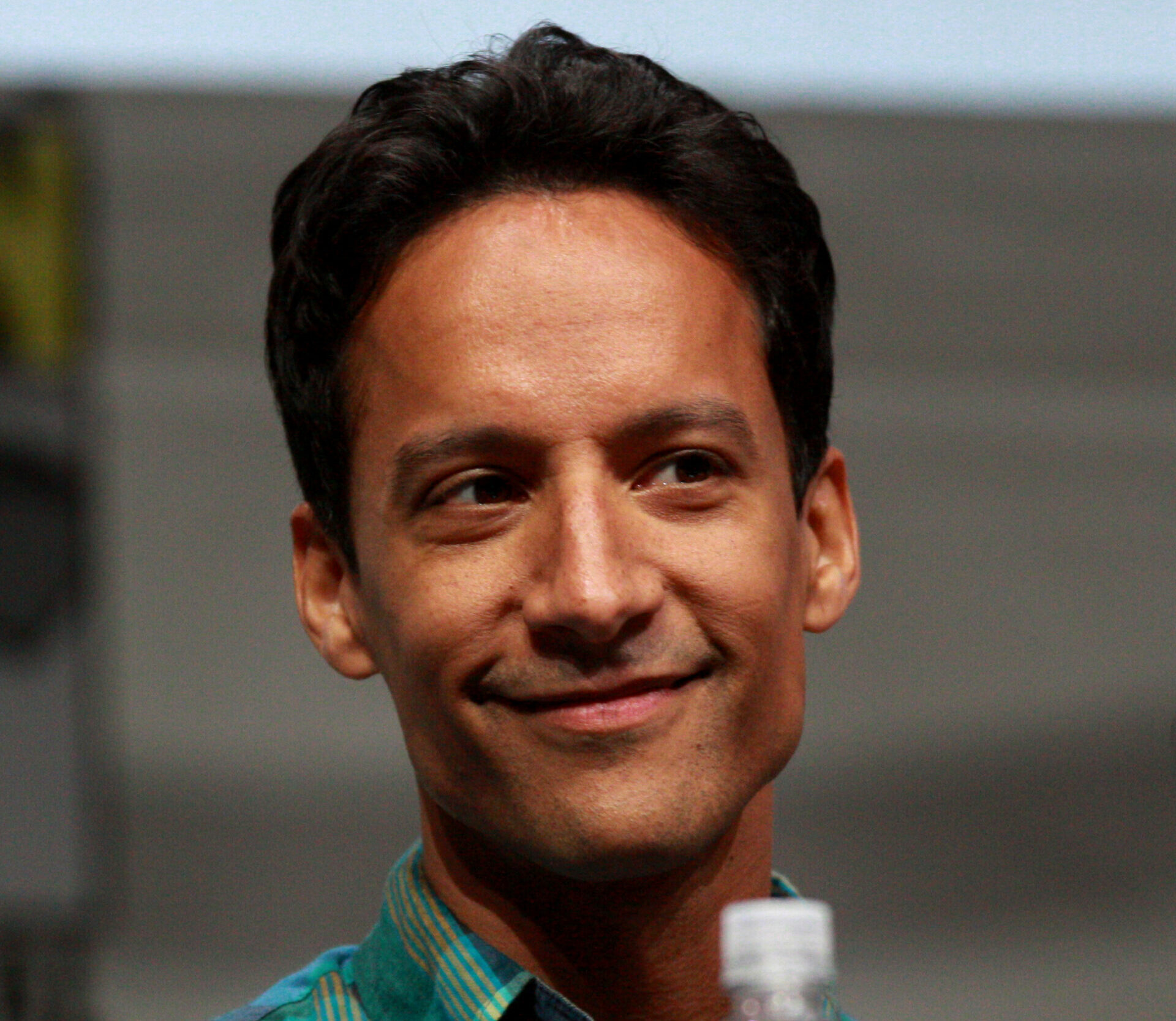 Hollywood Stars Of Polish Descent Danny Pudi