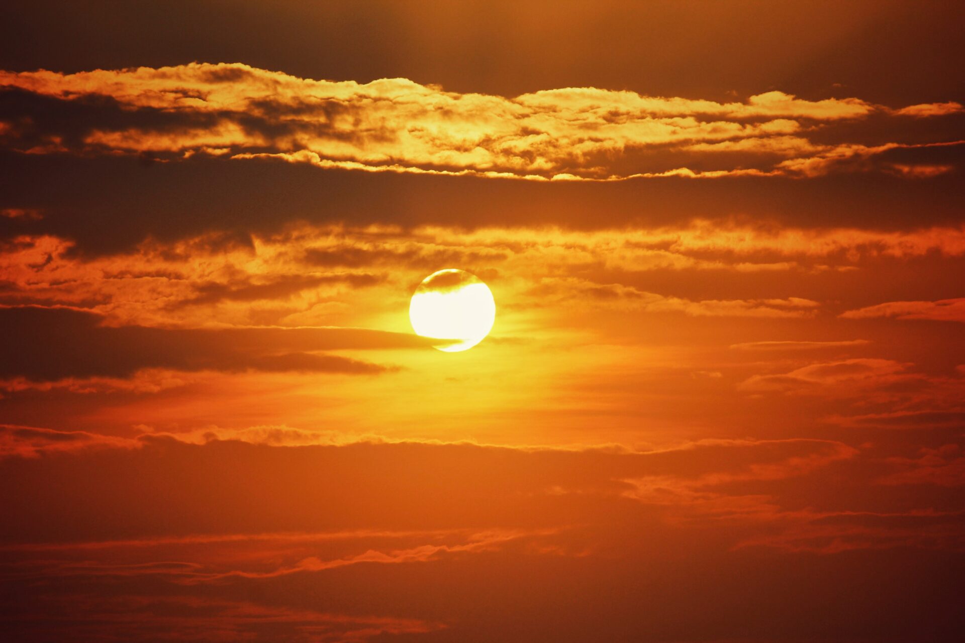 New Temperature Record Set in Poland This Year - PolandDaily24.com