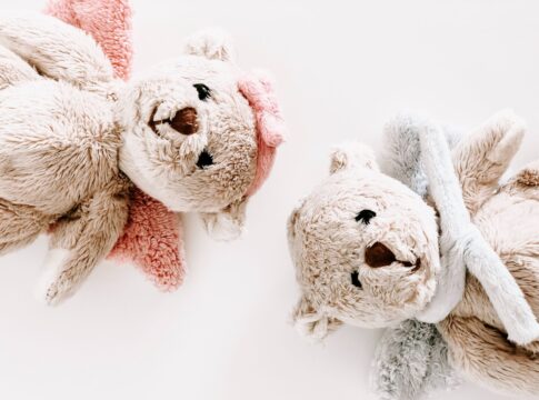 Poland Celebrates World Teddy Bear Day
