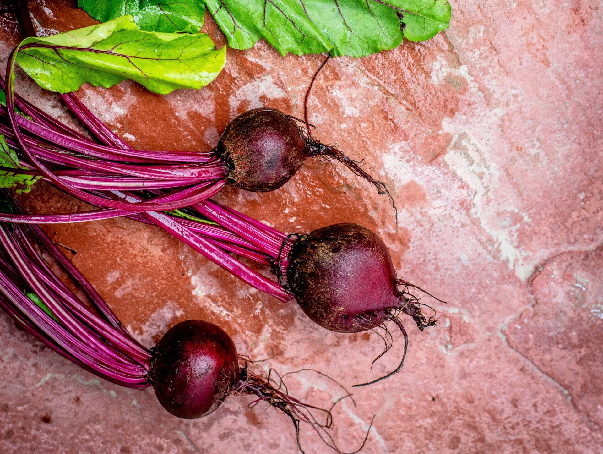 Celebrating Beetroot Day: A Tribute to a Crimson Superfood