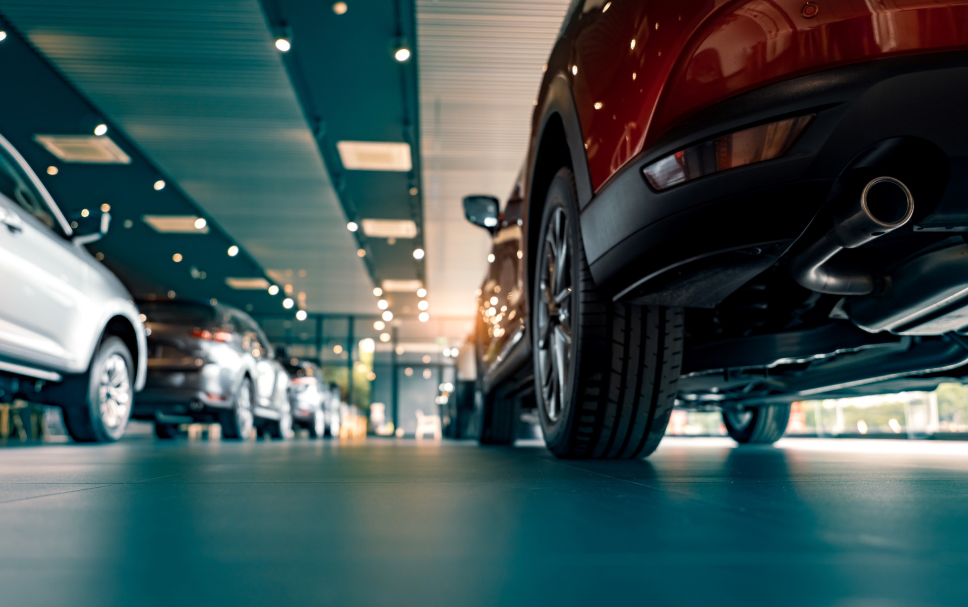Driving Trends: Polish Drivers Still Prefer German Cars and Combustion ...